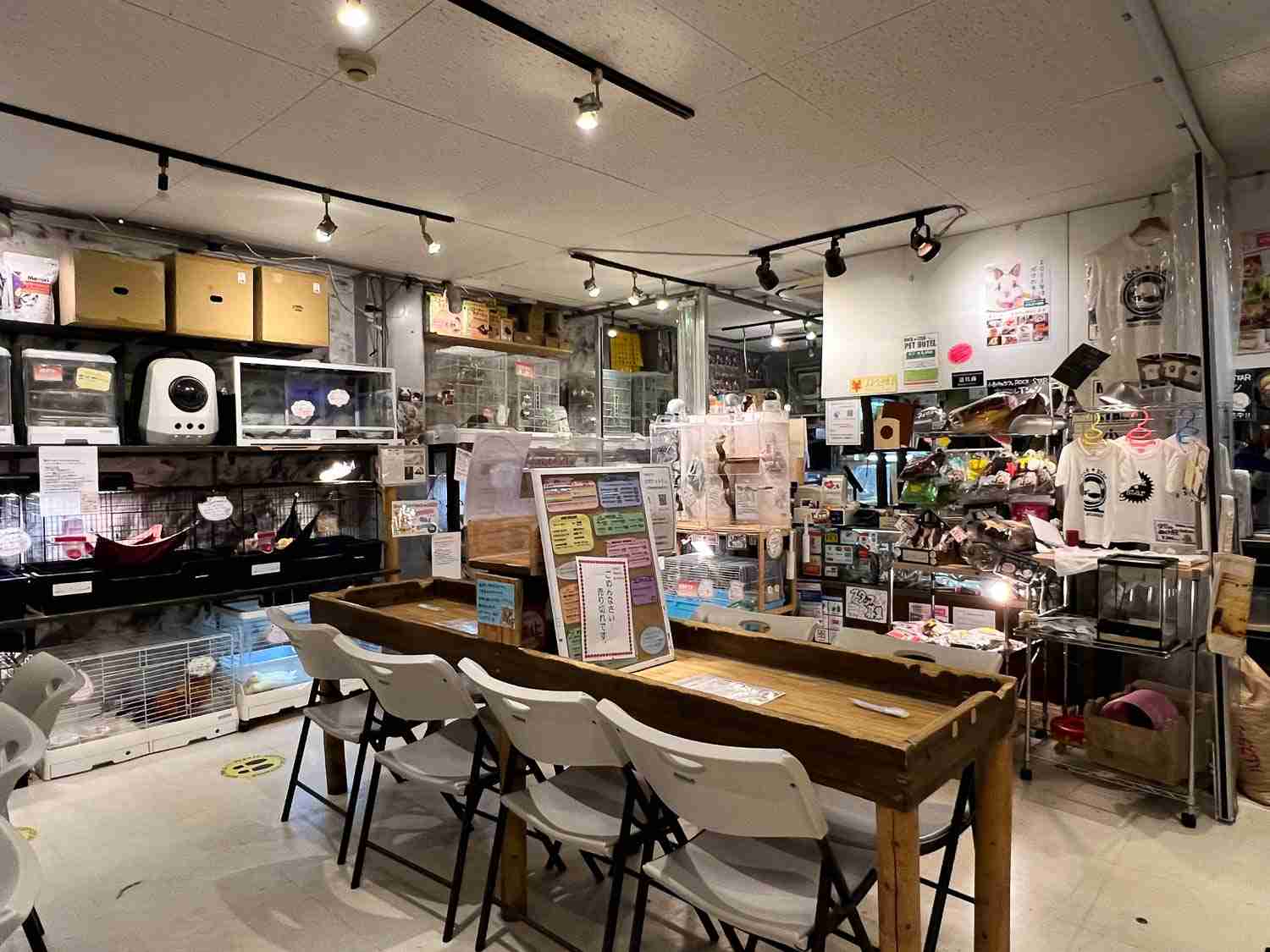 7 Animal Cafes In Japan To Check Out